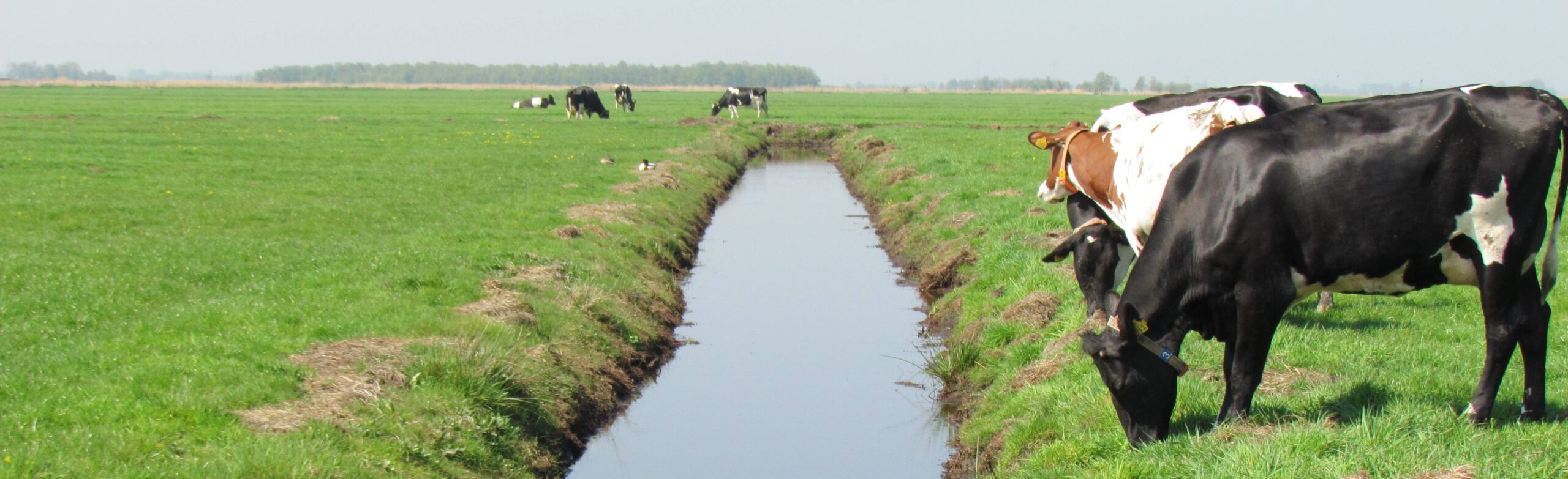 Uitrusting - Batavierenbende